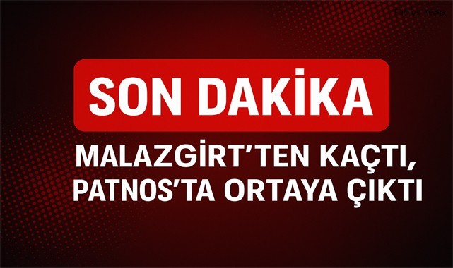Malazgirt'ten kaçtı, Patnos'ta Ortaya Çıktı! - Haber - Patnos Medya